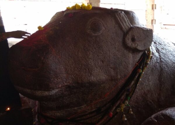 Yaganti Uma Maheswara Temple - The Temple Guru