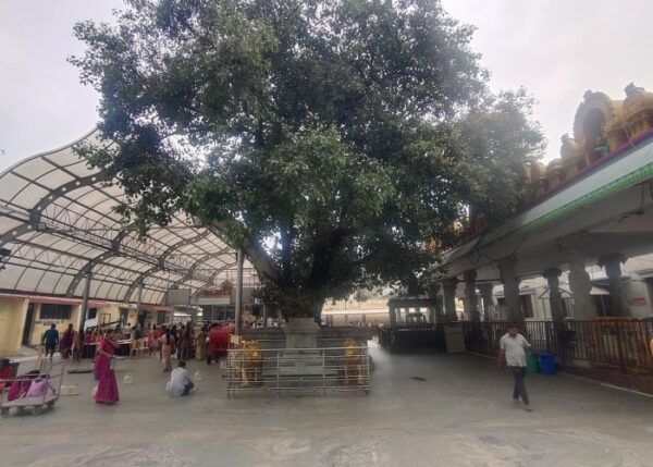Banashankari Amma Temple Bangalore - Info History Photos