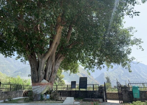 Basheshwar Mahadev Temple Bajaura Kullu Info Photos History